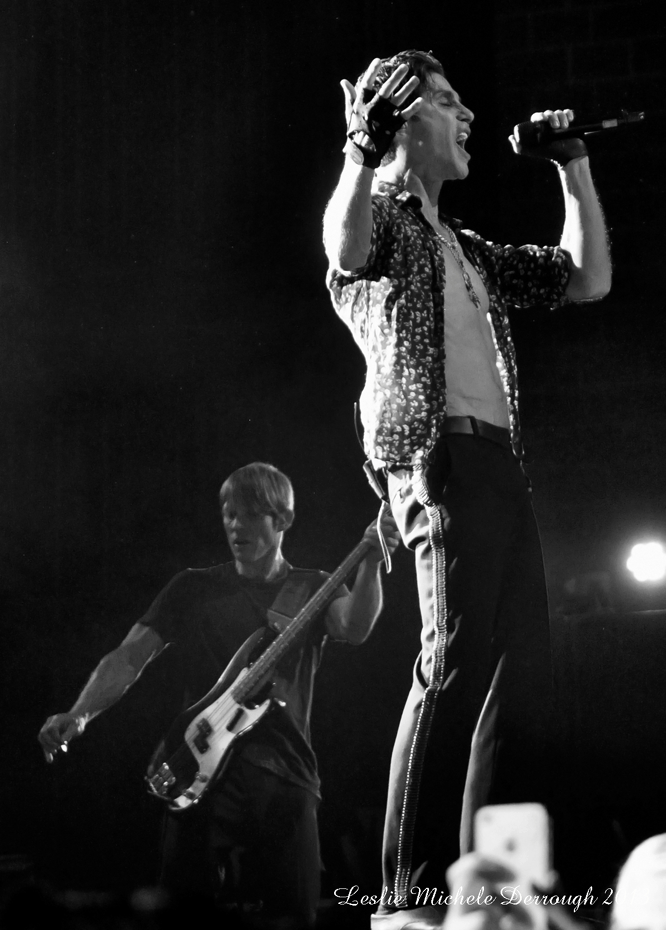 Chris Chaney of Jane's Addiction (INTERVIEW) - Glide Magazine