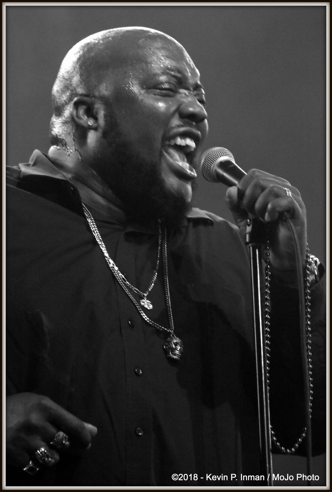 Fabulous Thunderbirds, Sugaray Rayford, Walter "Wolfman" Washington ...