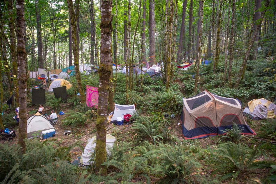 Why Pickathon is Pretty Much the Best Music Festival Ever (PREVIEW ...