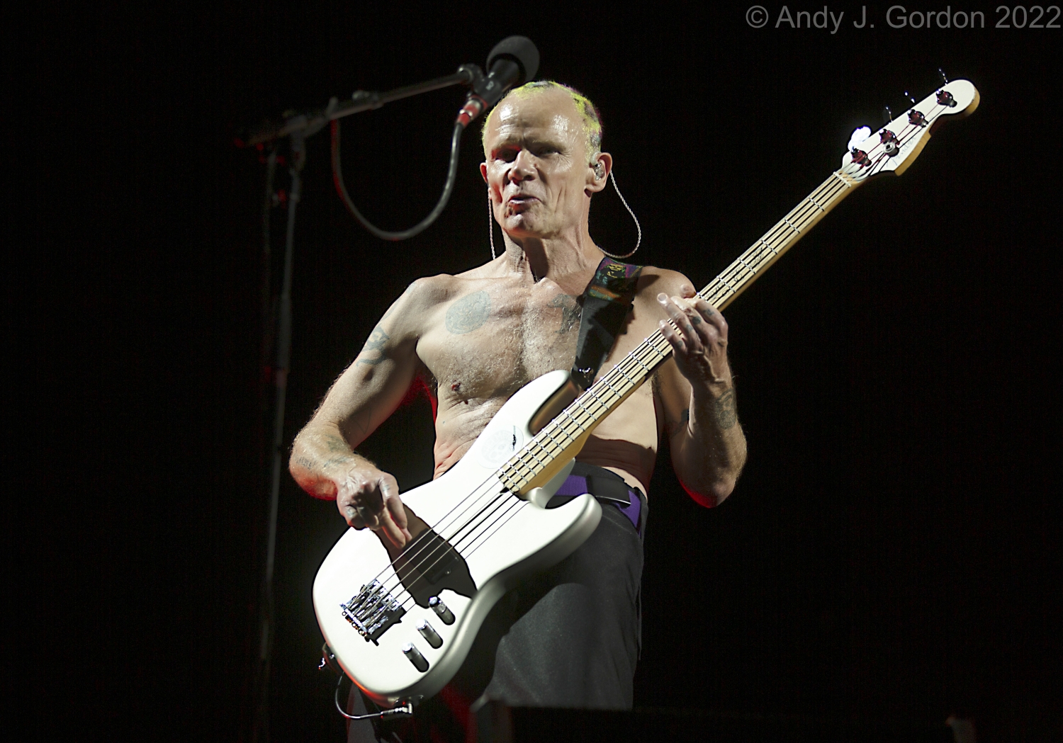 Flea Announces Debut Solo Album 'Honora' & Tour- Shares "Traffic Lights ...