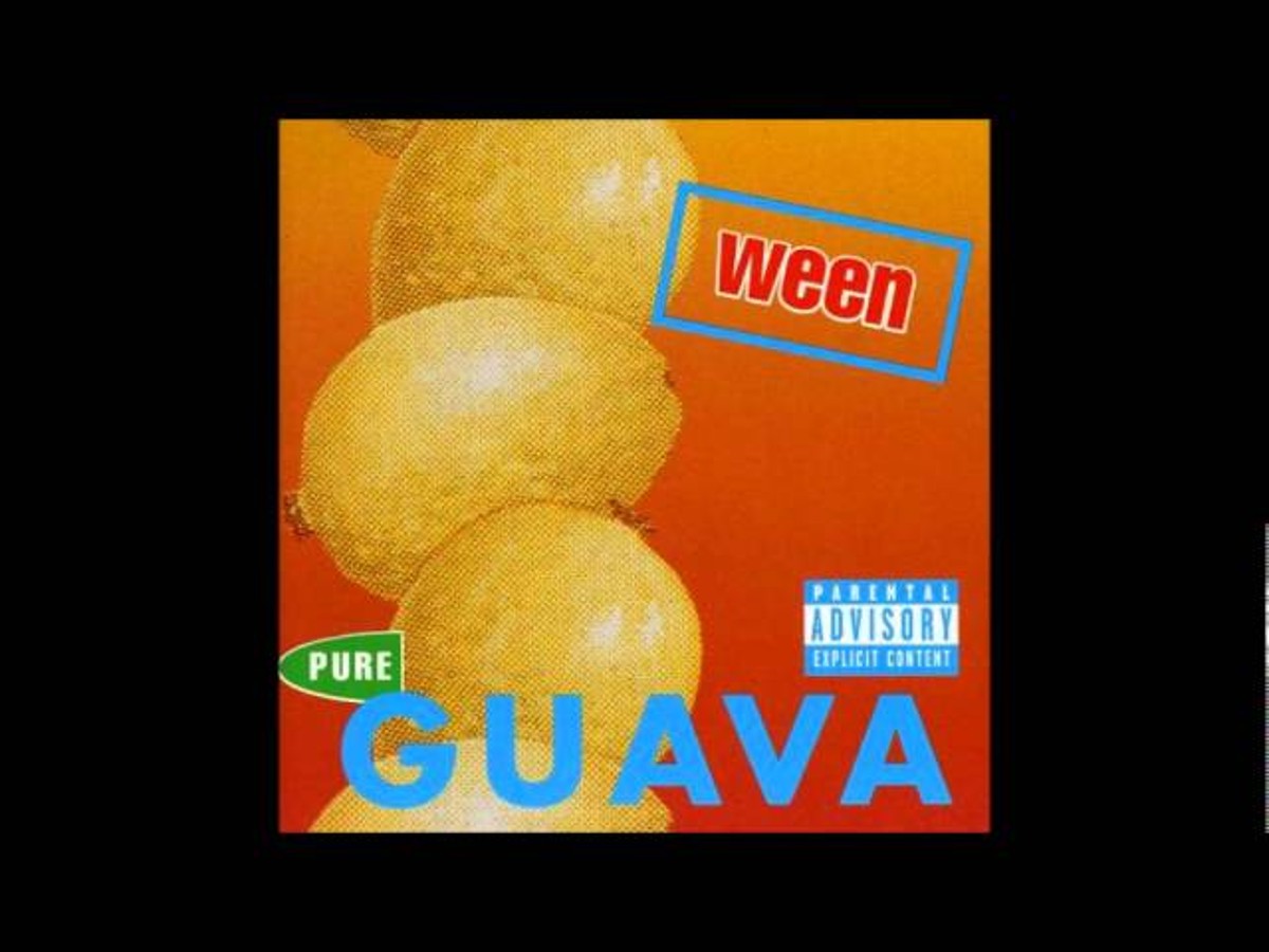 30 Years Ago Today - Ween Releases Major Label Debut 'Pure Guava ...