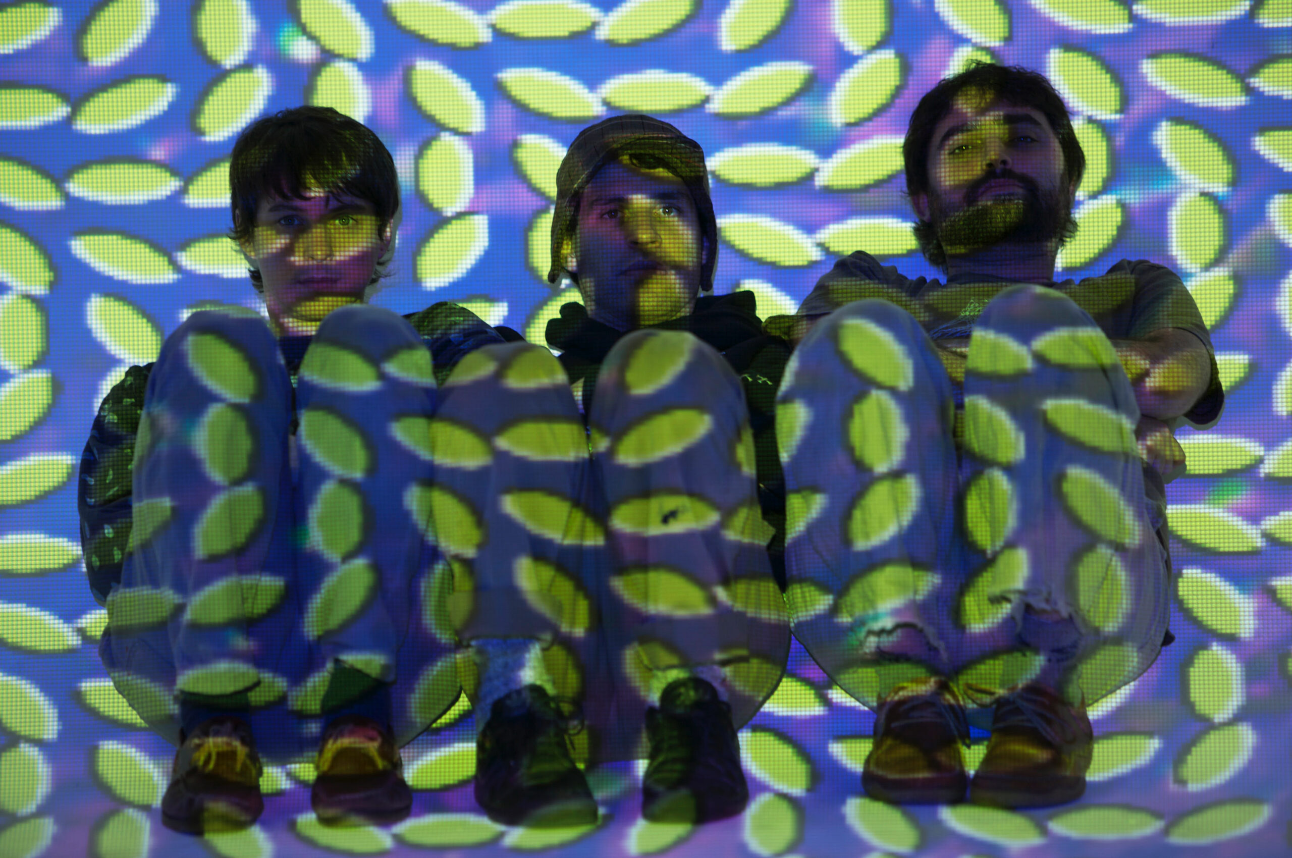 Animal Collective Announce Deluxe Vinyl Repress Of 'Merriweather Post ...