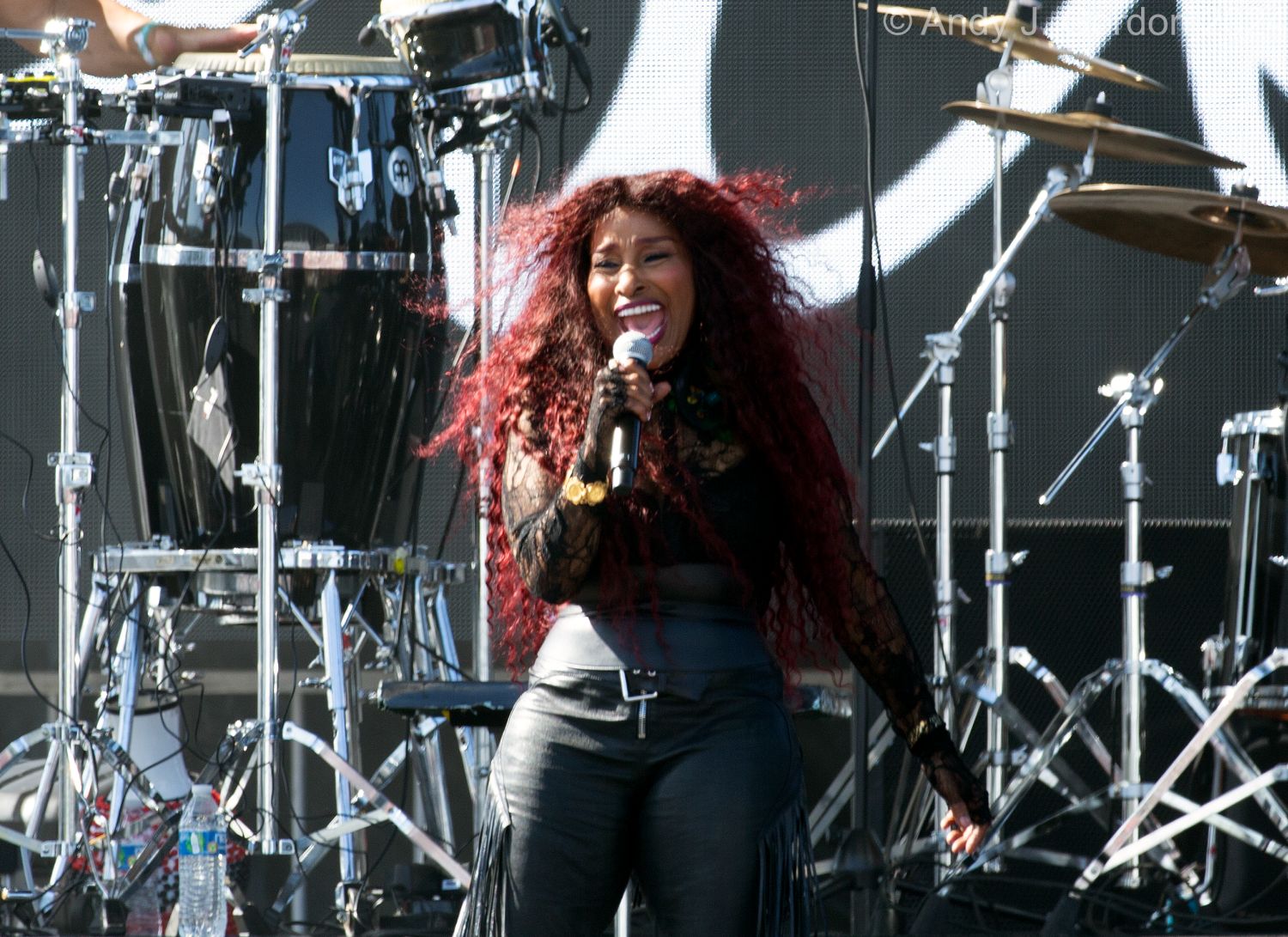 Inaugural Fool in Love Festival Feat. Al Green, Diana Ross, Smokey ...