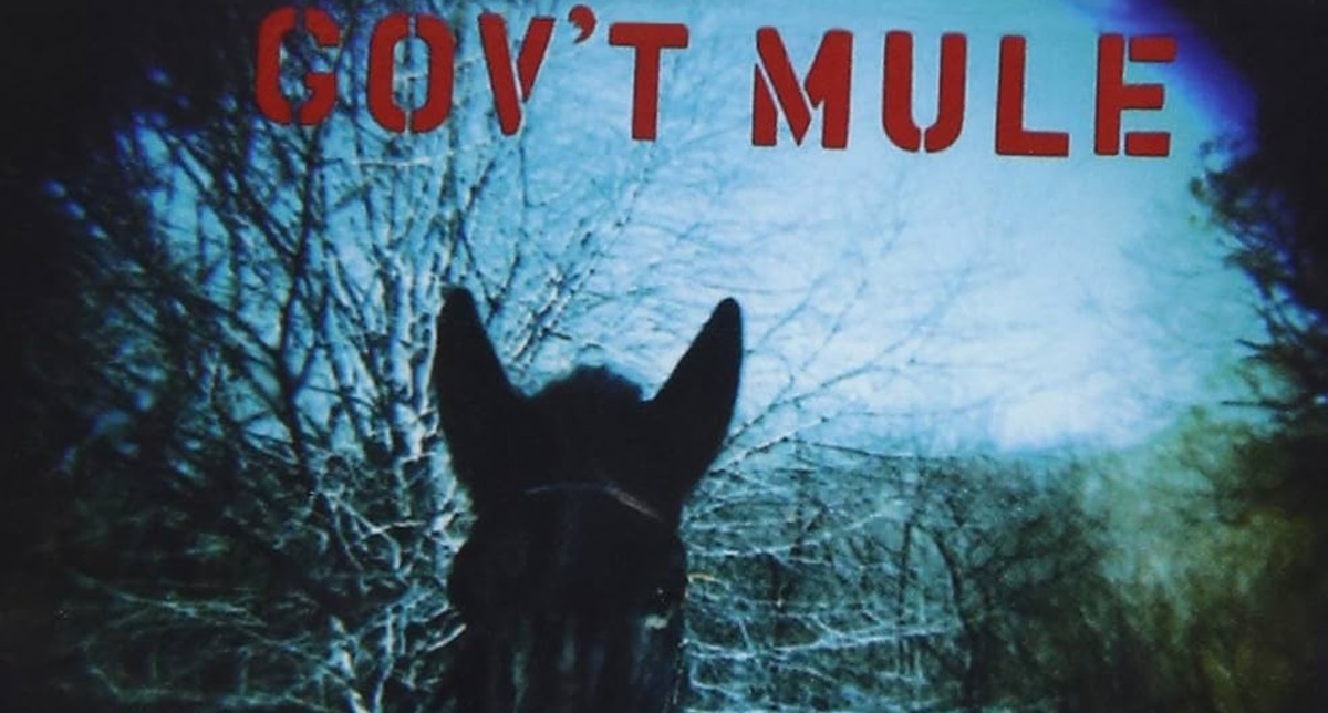 30 Years Later: Gov't Mule Brings Musical Muscle Back To Power Trio ...