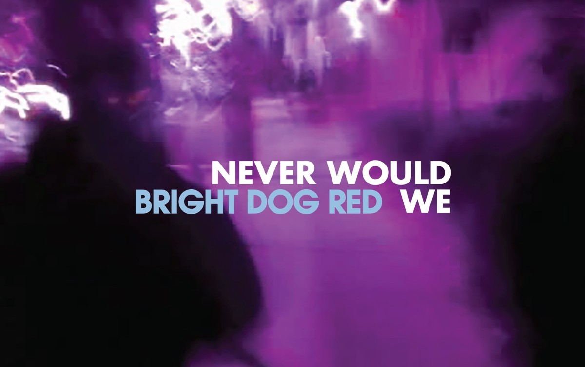 Improvisatory Collective Bright Dog Red Celebrates Ten Years With ...